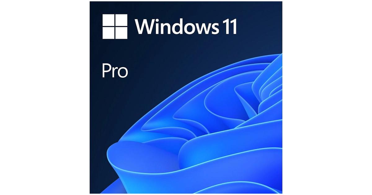 Microsoft Windows 11 Pro 64-bit (1-Pack), OEM | FQC-10528 | City Center ...